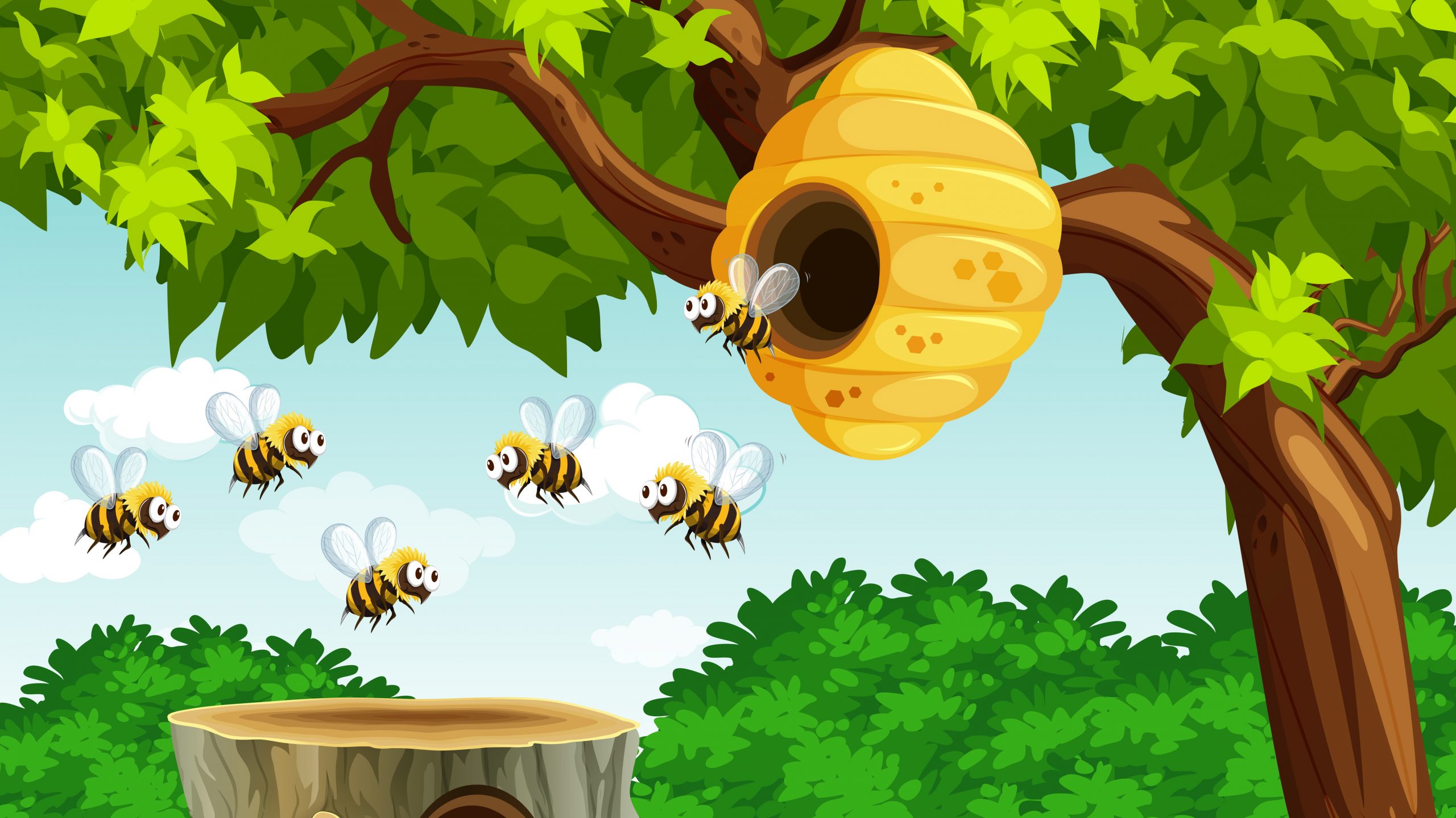 BeeAndme